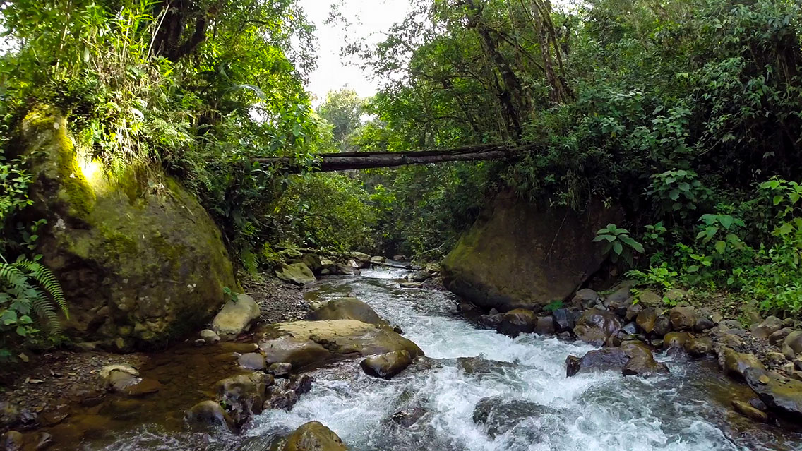 Especial Río Cali - Diario El País