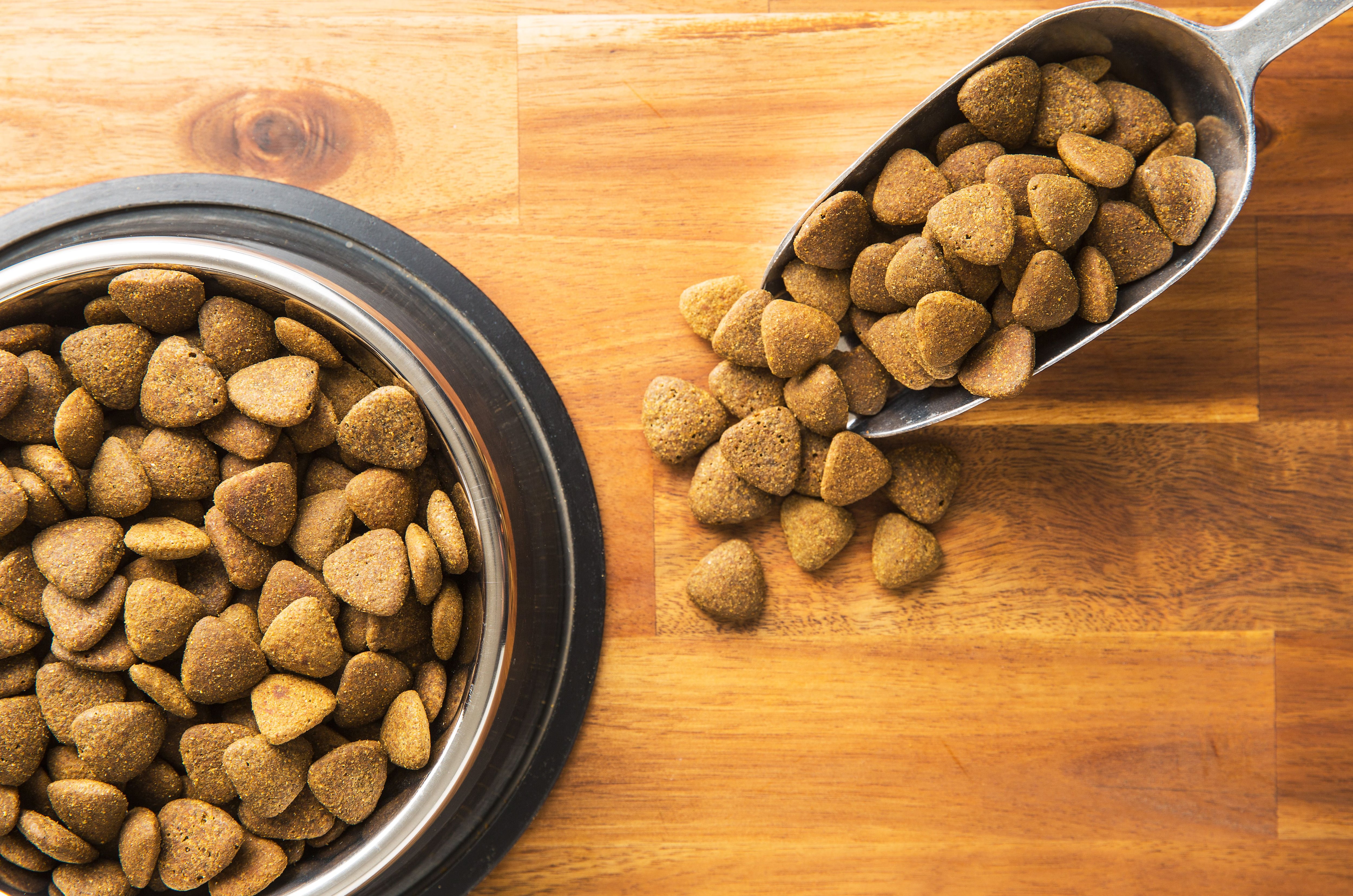 Es La Autoridad Una Buena Marca De Comida Para Perros